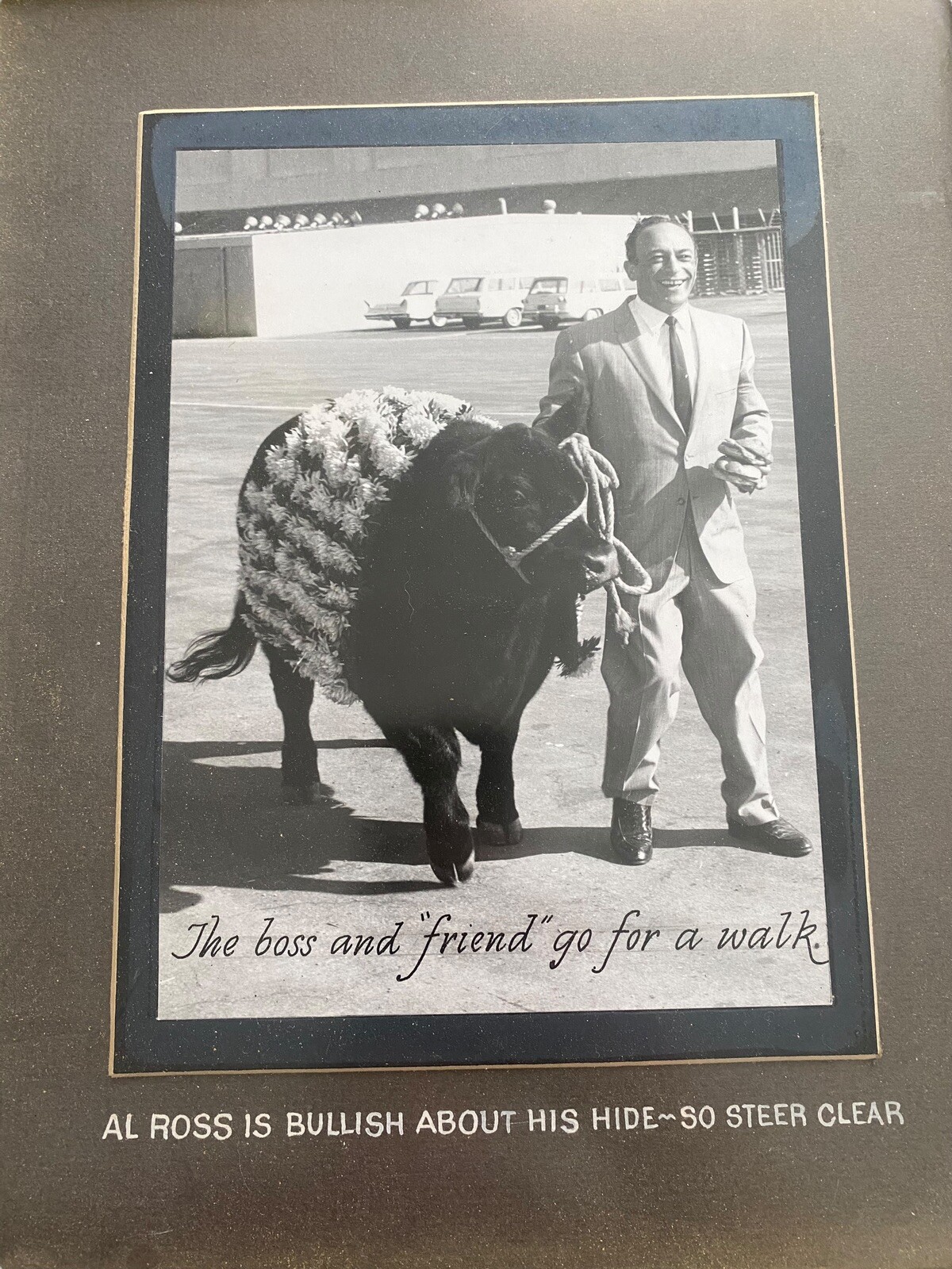 Vintage Framed matted Photo Man With Bull Cow Steer Funny Joke Prize ...