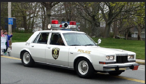 Two 16" X 14" Law enforcement vehicle door decals: Cook County Sheriff ...