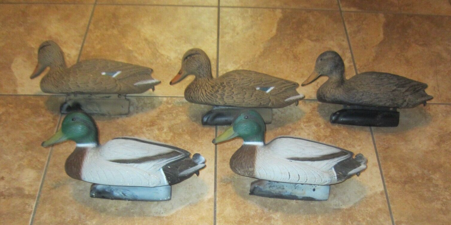 Flambeau Lot of 5 Floating Mallard Duck Decoys Hunting | eBay