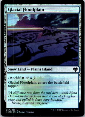 Magic the Gathering Glacial Floodplain Kaldheim MTG Free Shipping! | eBay