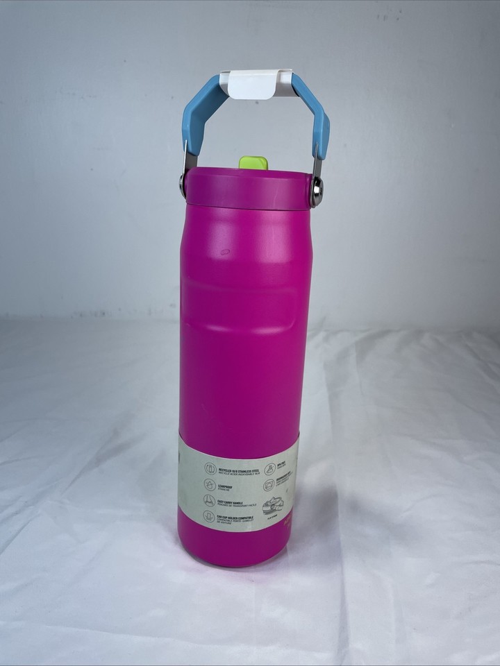 Stanley Aerolight Iceflow 24oz Flip Straw Bottle Vivid Violet Reverb ...