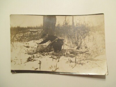 RPPC Deer Hunting 2 deer Rifle Postcard Real Photo | eBay