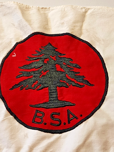 Boy Scouts of America Patrol Flag Pine Tree BSA | eBay