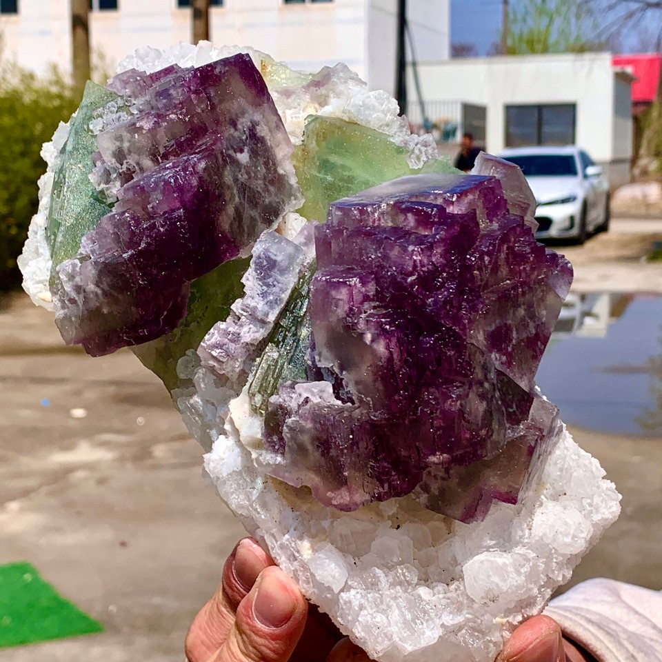 6.55LB Rare transparent Purple Green cubic fluorite mineral crystal ...