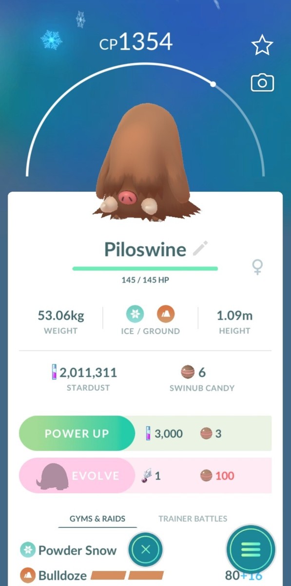 Piloswine Evolution