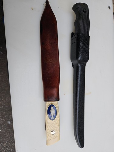 Buck Knife 123 Fish Fillet Knife Stainless Steel blade w hard Plastic ...