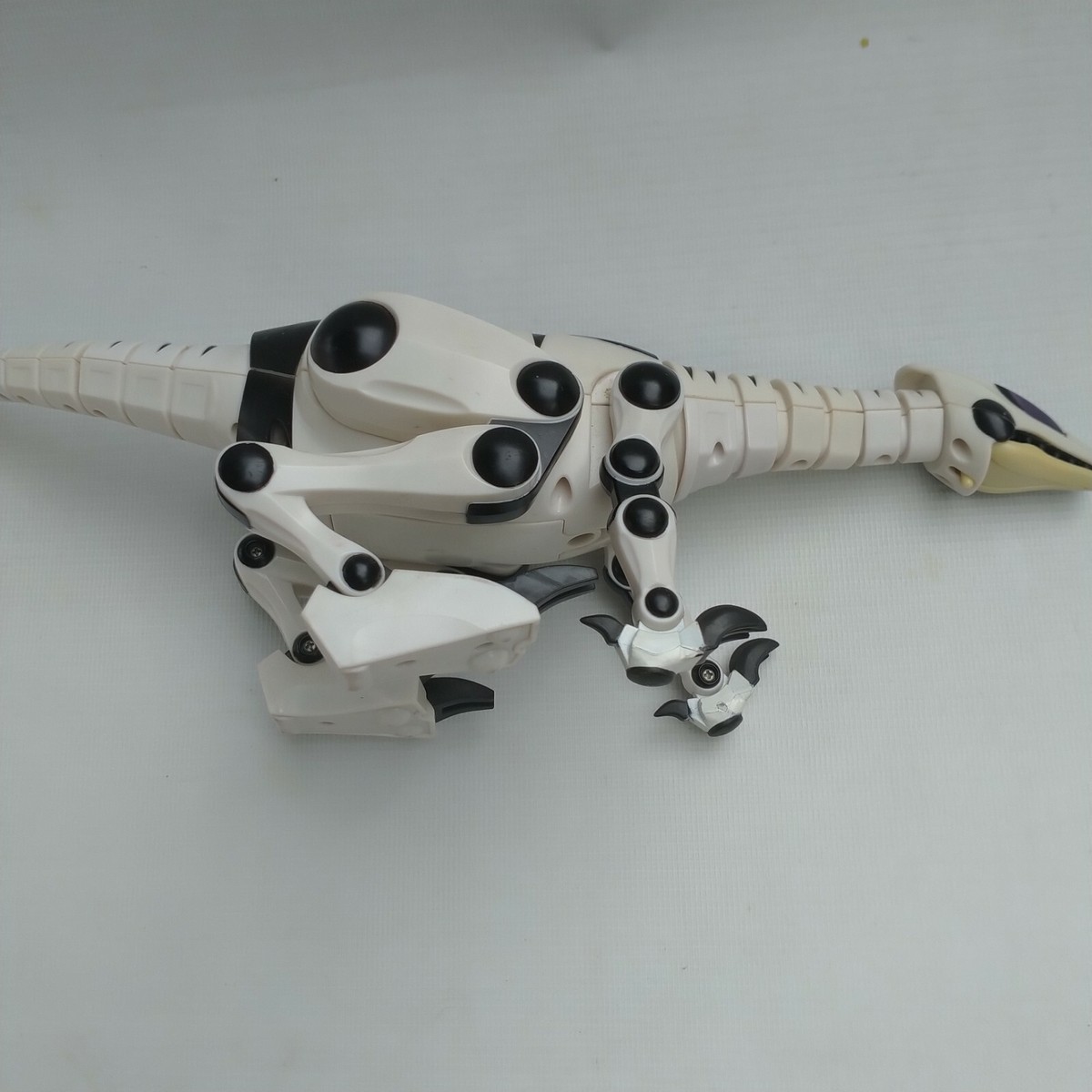 Roboreptile Vs Roboraptor