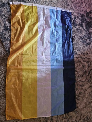 Aroace Pride Flag Tapestry Wall Hanging Banner | eBay