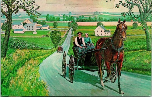 Amish Courting Buggy NJ Loewen Sr Artwork PA Postcard unused (21826) | eBay