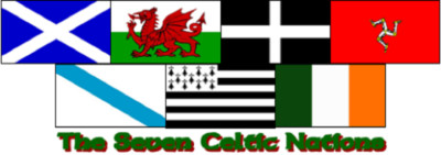 3x5 3’x5’ Wholesale Set (7 Pack) The Seven Celtic Nations Celts Flag Banner | eBay