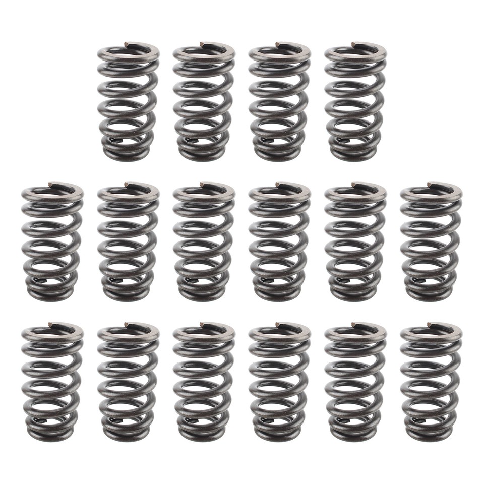 LS VALVE SPRINGS Fits GM LS1 LS2 LS3 LS6 4.8 5.3 6.0 6.2L - .600" LIFT ...