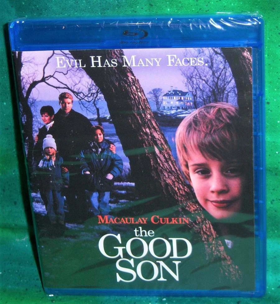 Elijah Wood The Good Son