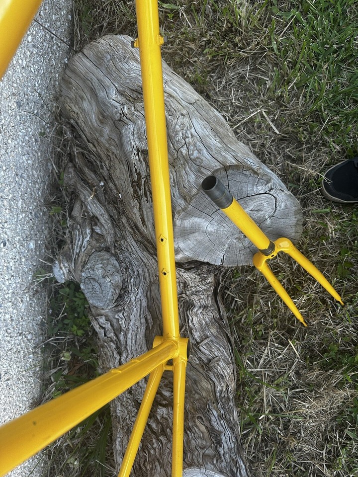 Vintage Schwinn Paramount Frame Set 63 CM XXXL ROAD LUGGED | eBay