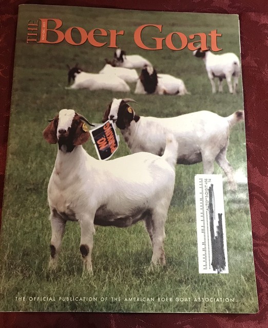 Boer Goat Magazine Nov-Dec 2003 46 Pgs Official Publication Of ABGA ...