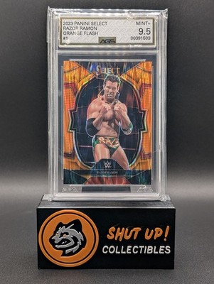 Scott Hall #1 Orange Flash Prizm 2023 Panini Select WWE - Concourse AGS ...