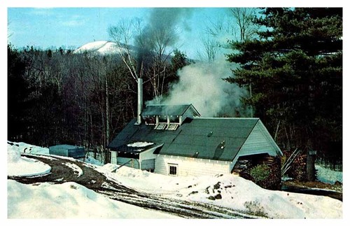 Postcard FACTORY SCENE Maple Sugaring Vermont VT m/16 AU4049 | eBay