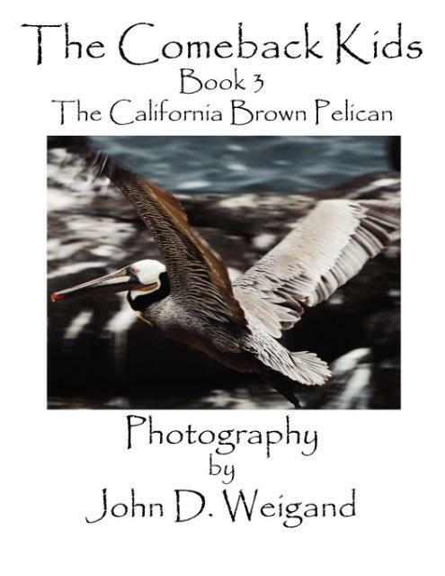The Comeback Kids, Book 3, the California Brown Pelican von Penelope ...