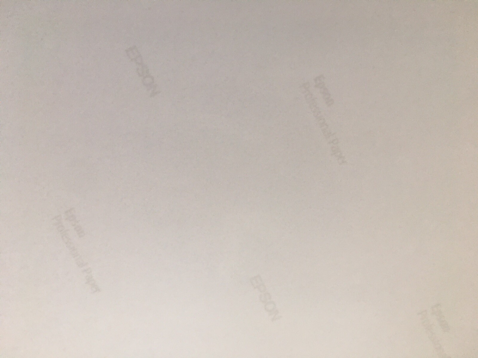 Bruce Springsteen John Maginnis Photo From Original Negative Fine Art ...