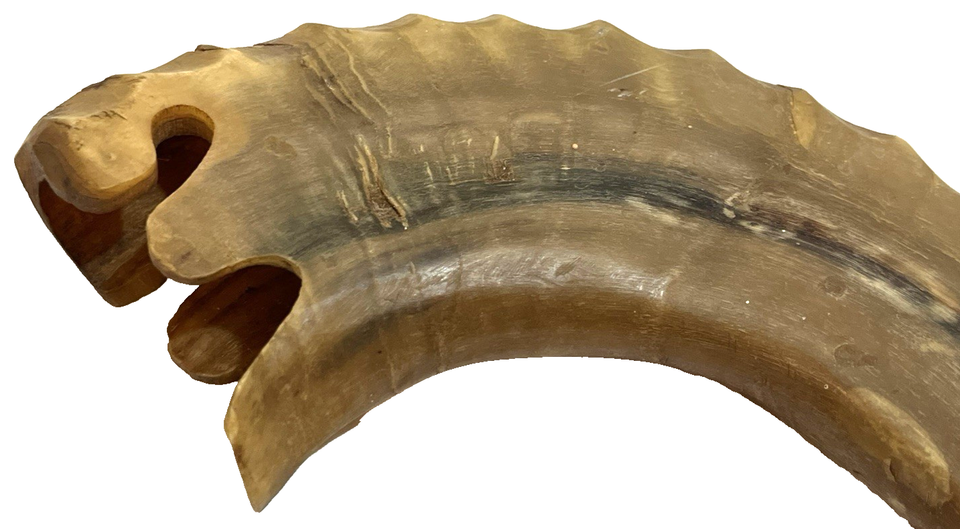Vintage Jewish Natural Ram's Horn Shofar Judaica Judaism Jerusalem ...