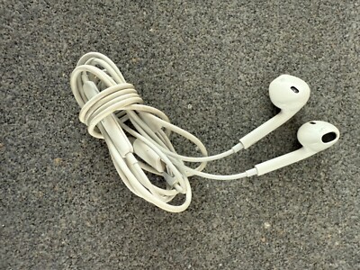 Apple Lightning Earpods with 3.5mm Headphone Adapter OEM Earbuds iPhone ...