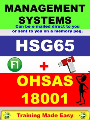 HSG65 Management System OHSAS 18001 Pro Health & Safety Training Made ...