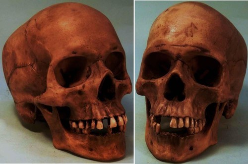 Life Size Model Human Skull Replica Aged EARTH-BROWN Relic - FACTORY ...