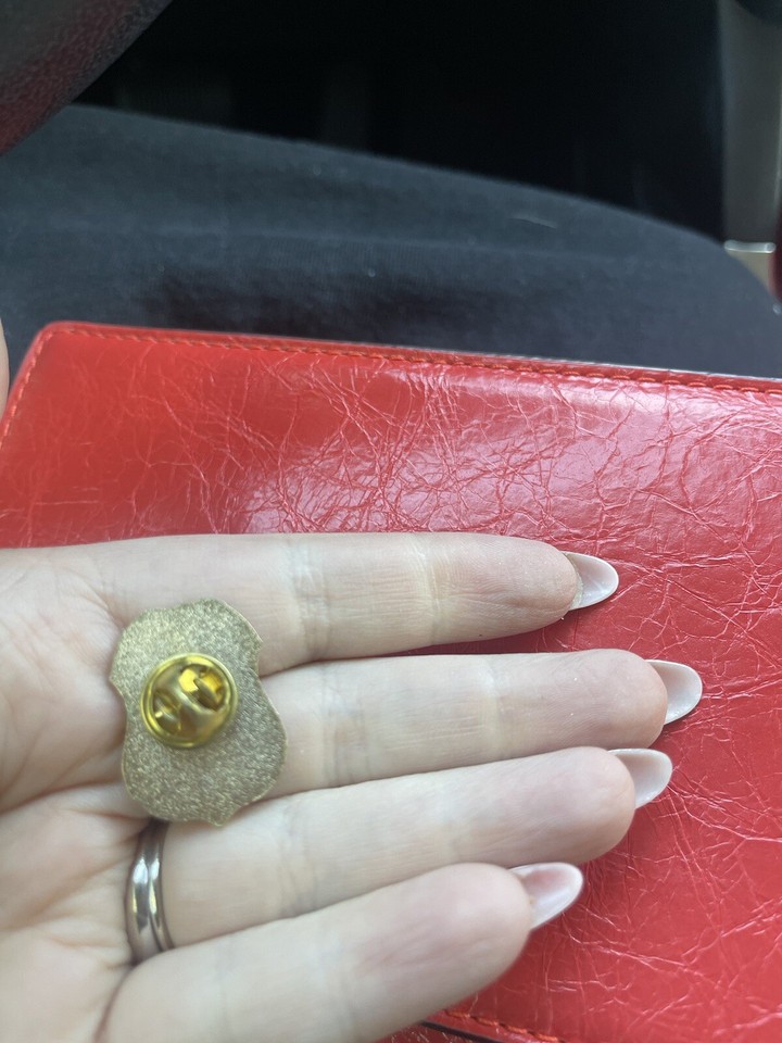 Vintage Special Agent US Homeland Security Investigations Pin | eBay