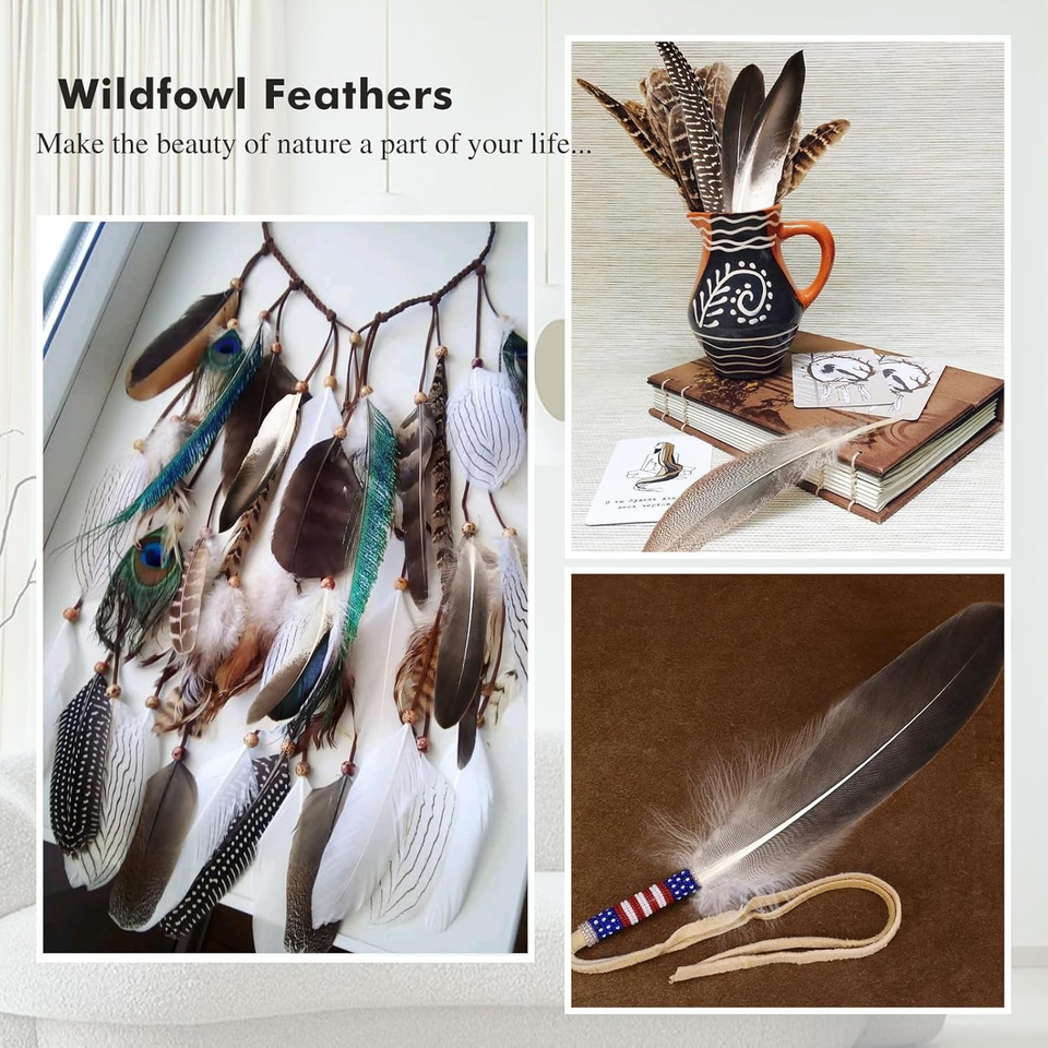 60Pcs Natural Pheasant Feathers Bulk Spotted Feathers 6 Styles Mixed Feathers fo | eBay