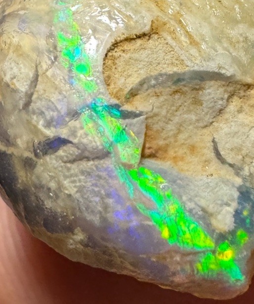 *Watch Video* Opal Clam Fossil Shell Lightning Ridge Australia Opalized ...