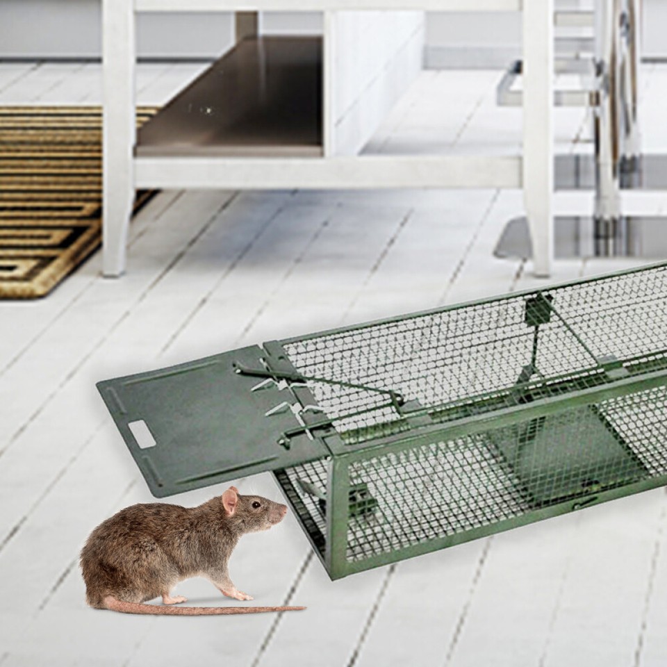 Rat Trap Double Door Mouse Trap Rat Catcher Humane Live Heavy Duty Bait ...