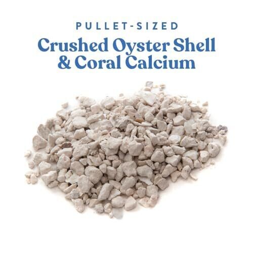 Crushed Oyster Shell - Calcium Supplement for Laying Hens - Chicken ...