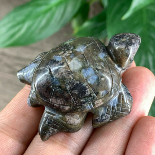 2' Natural Rhyolite Quartz Crystal tortoise Skull Hand Carved Reiki ...