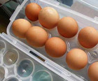 Lock & Lock 12 Large Eggs Egg Storage Plastic Container for ...
