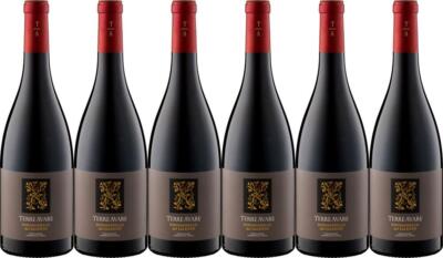 9% Rabatt || 6x Terre Avare Susumaniello Salento, 2023 - Weingut Terre ...