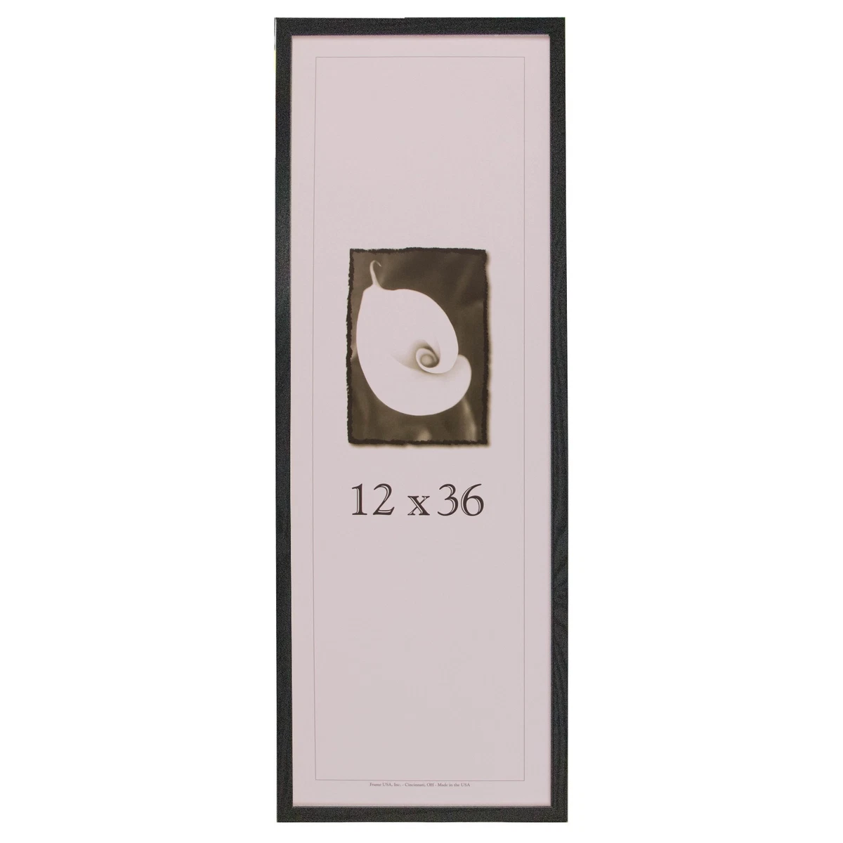 12 X 36 Poster Frame