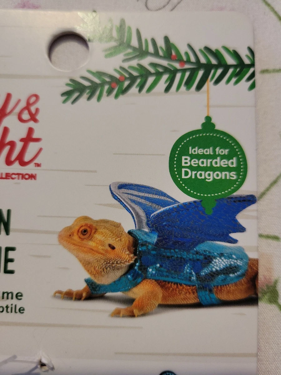 Cute Bearded Dragon Costumes