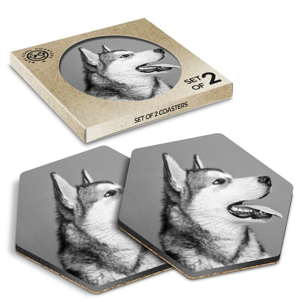 2 x Hexagon Coasters - BW - Alaskan Malamute Husky Dog Puppy #36638 ...