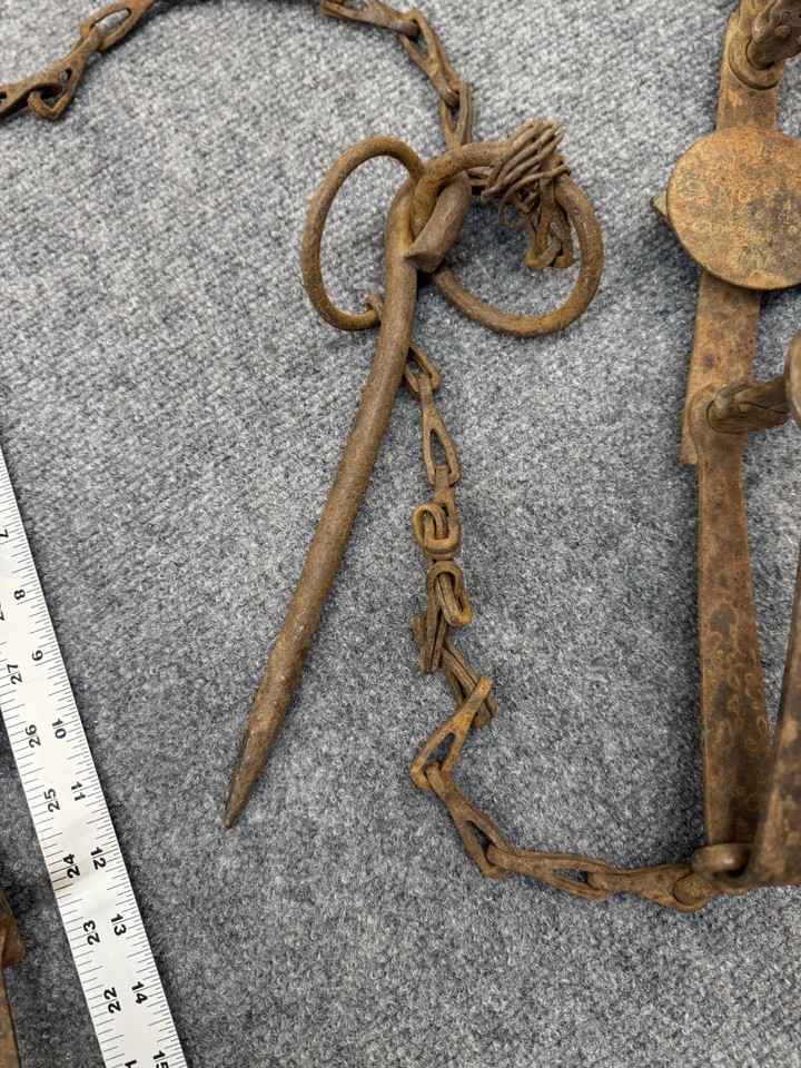 Pair Of S. Newhouse Oneida Community No. 4 Traps W/ Flat Chain And ...