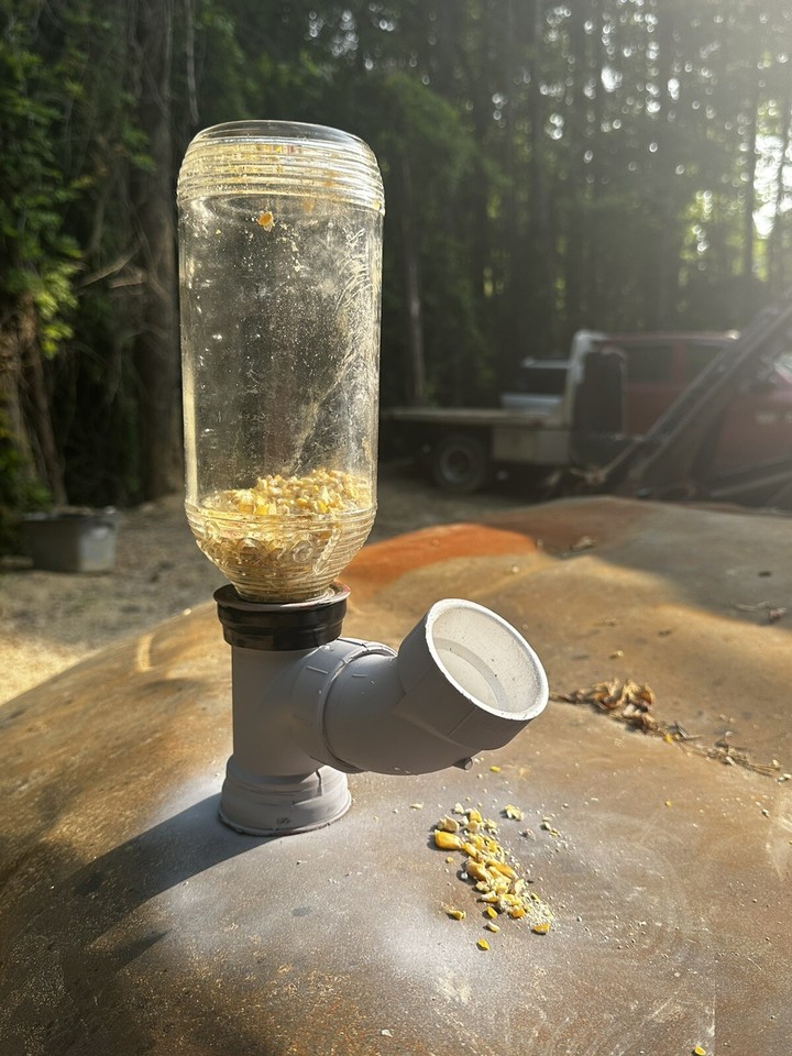 The Bird Bong With Authentic ACL Coca Cola Bottle Cool Unique!! DIY Fun ...