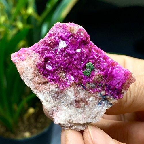 45G Natural Cobalto Calcite graininess Crystal Mineral specimen Healing ...