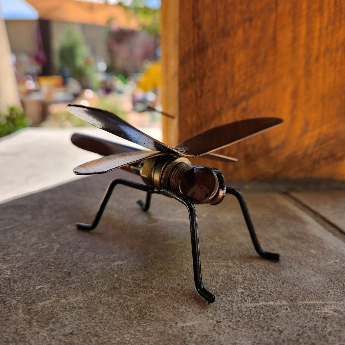 Firefly Insect Flying