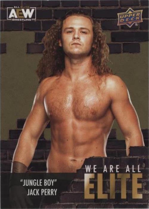 2023 Upper Deck AEW All Elite Wrestling - We Are All Elite "Jungle Boy ...