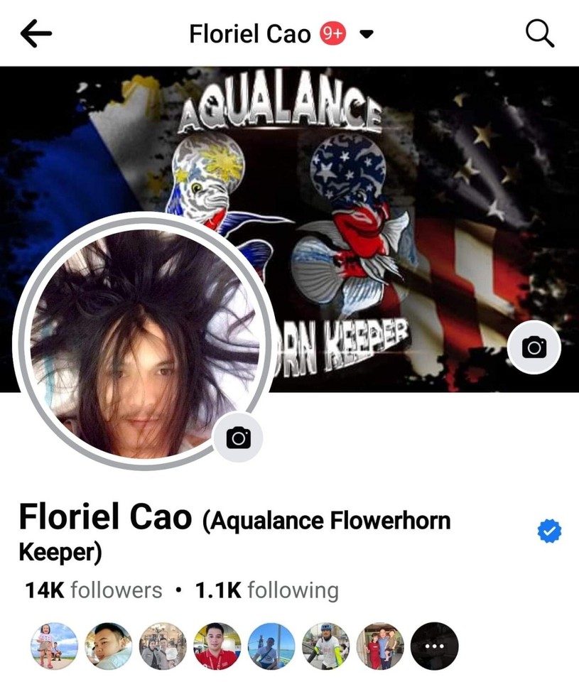 FLOWERHORN FRY SUPER VIP KAMFA F2 LIVE FISH BIG KOK GENES IMPORT FROM ...