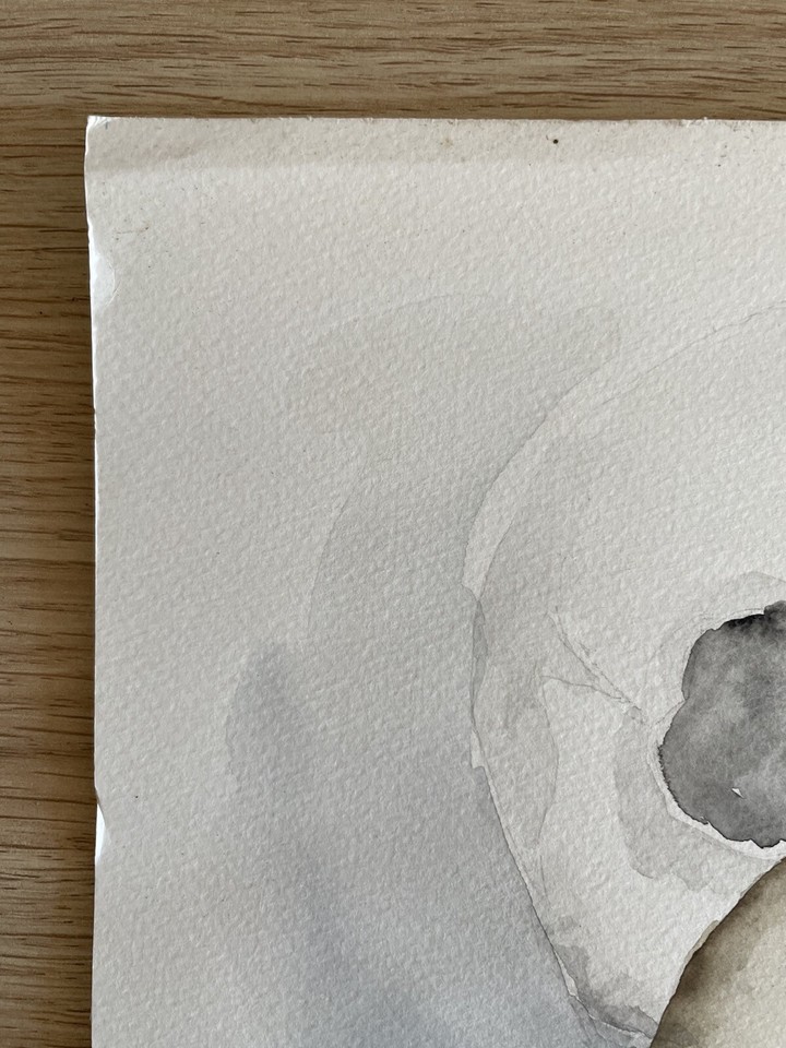 Watercolor Drawing Human Skull Bone Head Skeleton Anatomy Medicine | eBay