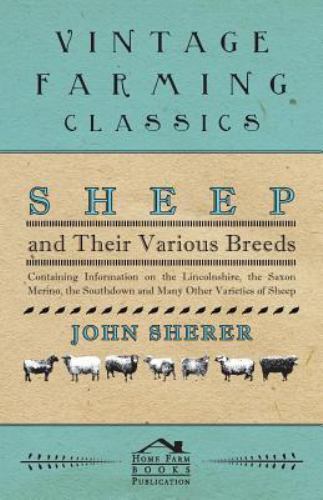 Sheep and Their Various Breeds - Containing Information on the ...