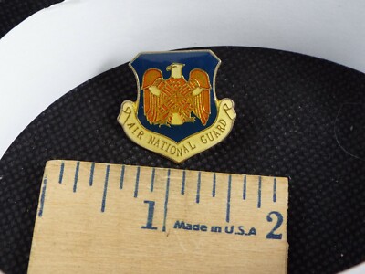 AIR NATIONAL GUARD PIN | eBay