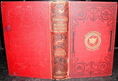 CURIOSITIES of NATURAL HISTORY Francis T Buckland Third Series 1882 ...