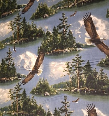 *PANEL BACKING* 36x45 EAGLE SOARING - BEAUTIFUL BTY COTTON FABRIC | eBay