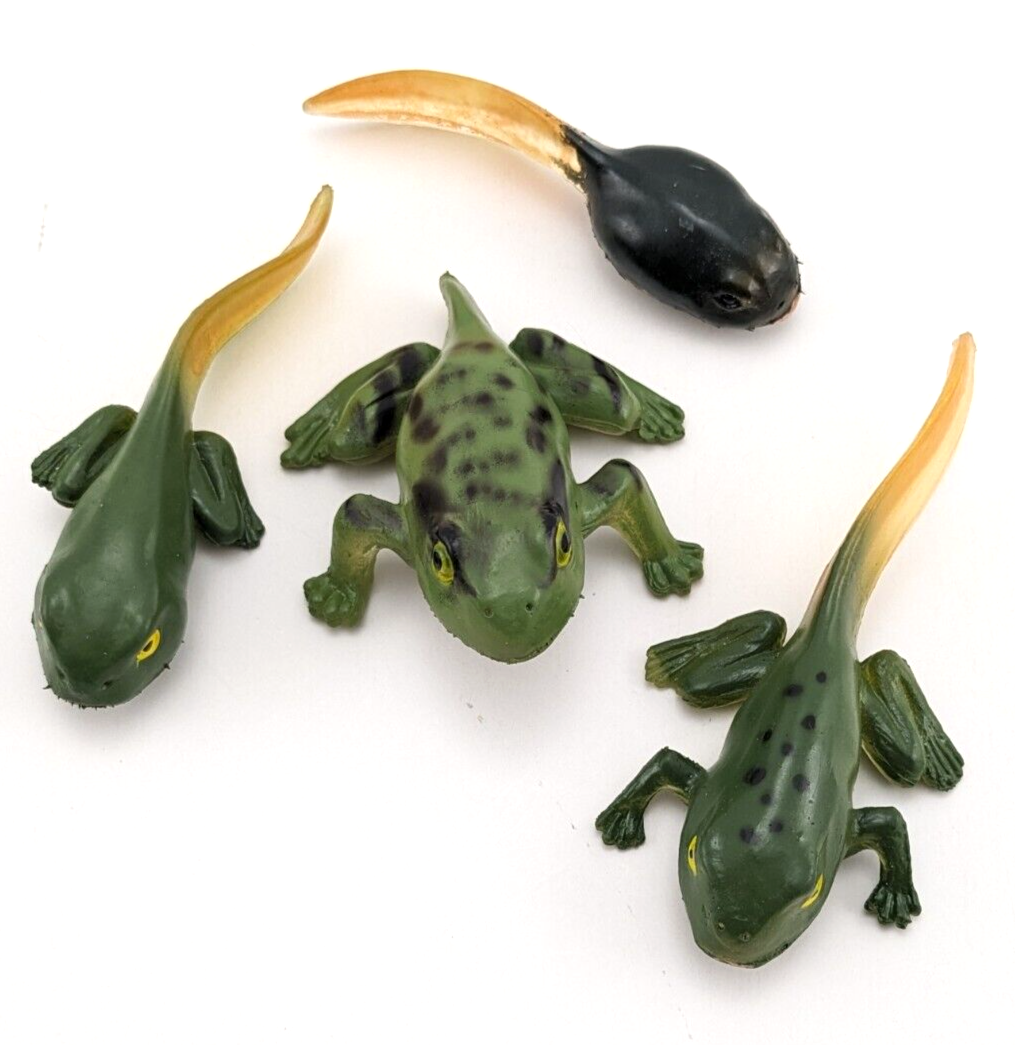 Tadpole To Frog 1994 Tadpole To Frog Developmental Stages Figures Lot
