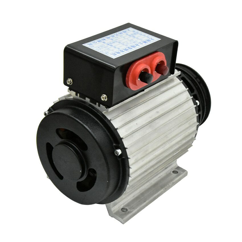 two-phase 5KW Permanent magnet generator 220V brushless Rare earth ...